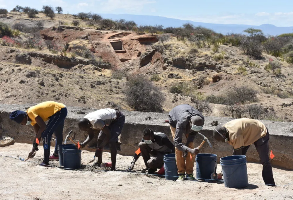Homo Erectus Thrived in a Desert, Study Finds, Suggesting the Early ...